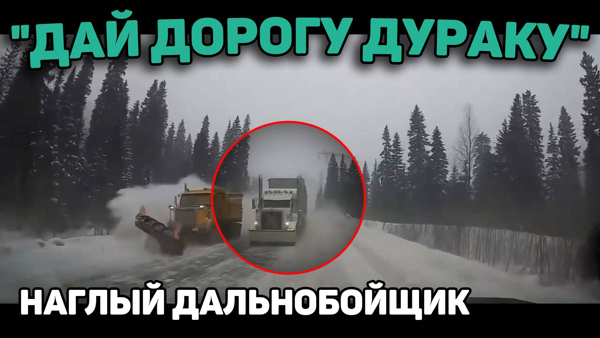 Автоподборка "Дай Дорогу Дураку"🚚Наглый Дальнобойщик