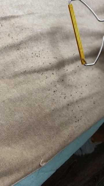 Убираю катышки скребком для удаления шерсти 👍🏻 / покупка из Монетки