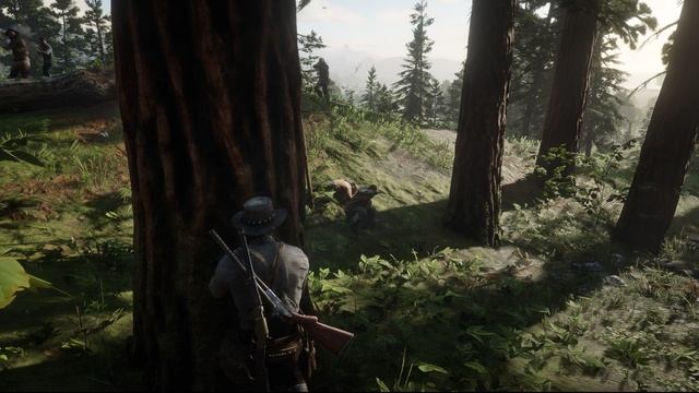 Прохождение игры Red Dead Redemption 2.
Квест - Ящик с инструментами