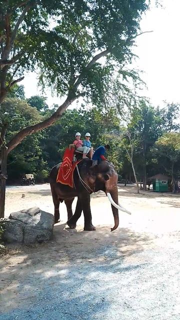 VID_20221215_132847
