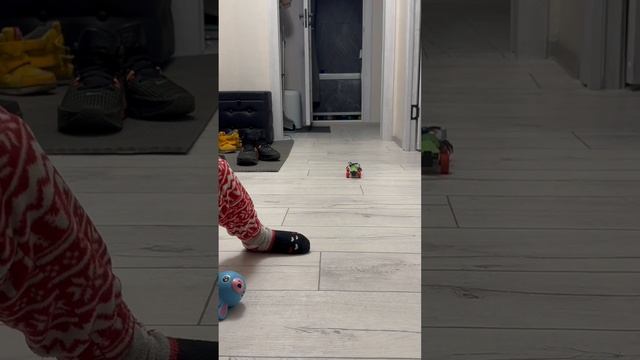 Я катаю зверюшек на крутом скейте