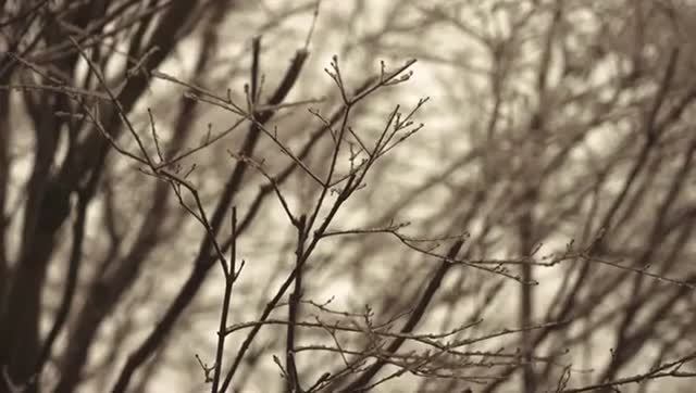 Choki. Когда нужно отдохнуть.