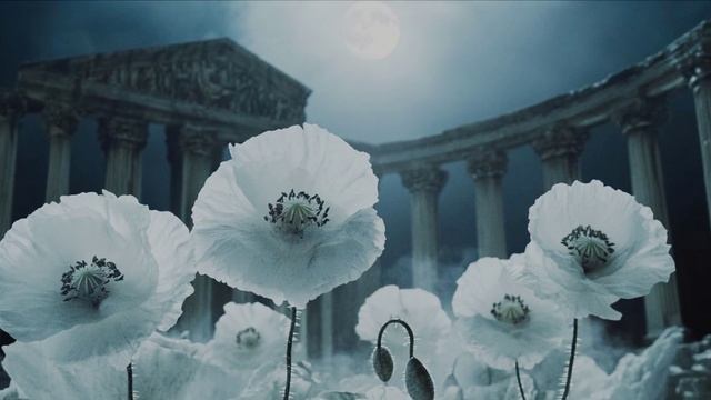 Мраморный флекс