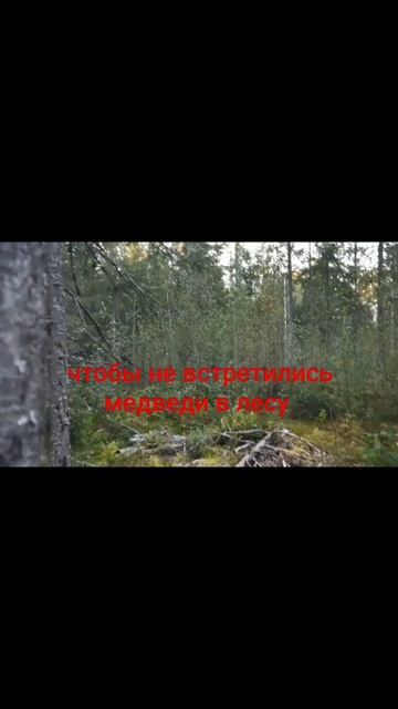Чтобы не встретились медведи в лесу