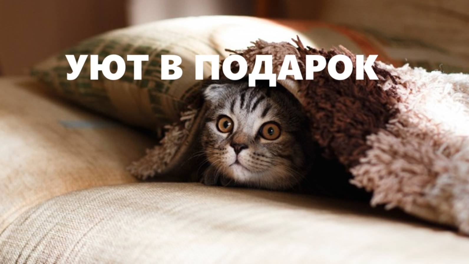 Декоративные подушки в подарок.Лоскутное шитьё.(февраль 2025г)