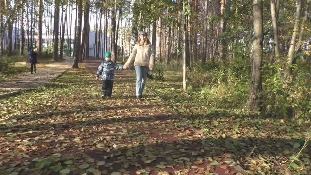 Святослав Мокеев. Осенняя прогулка.