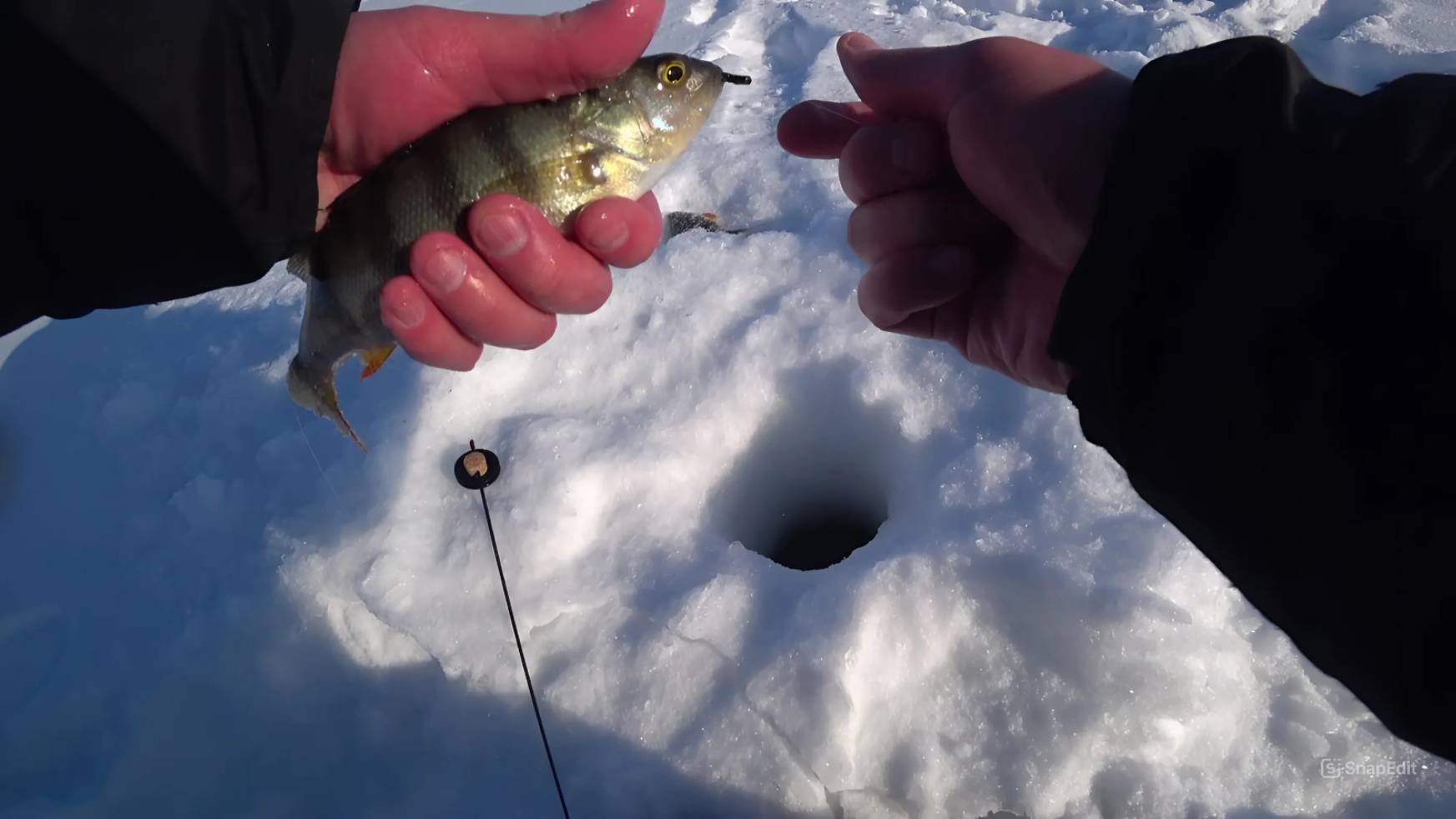 Ловля окуня на безкивковую удочку.