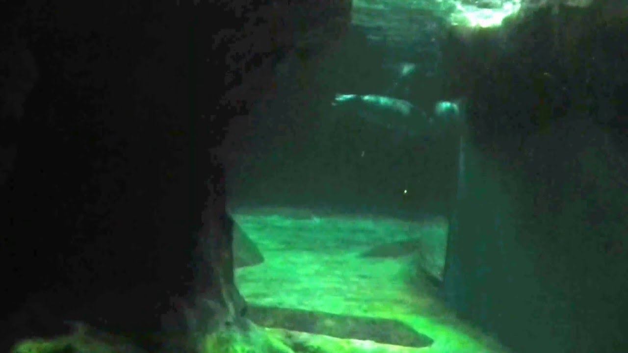 питер 2015_осень_DSCF2308