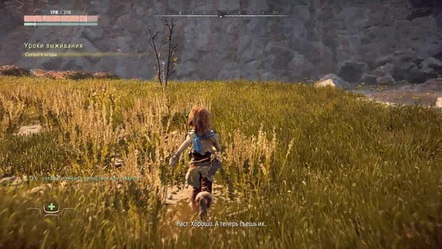 Horizon Zero Dawn  Edition  НА РАССЛАБЛЕНИИ   Ч.1   НАЧАЛО