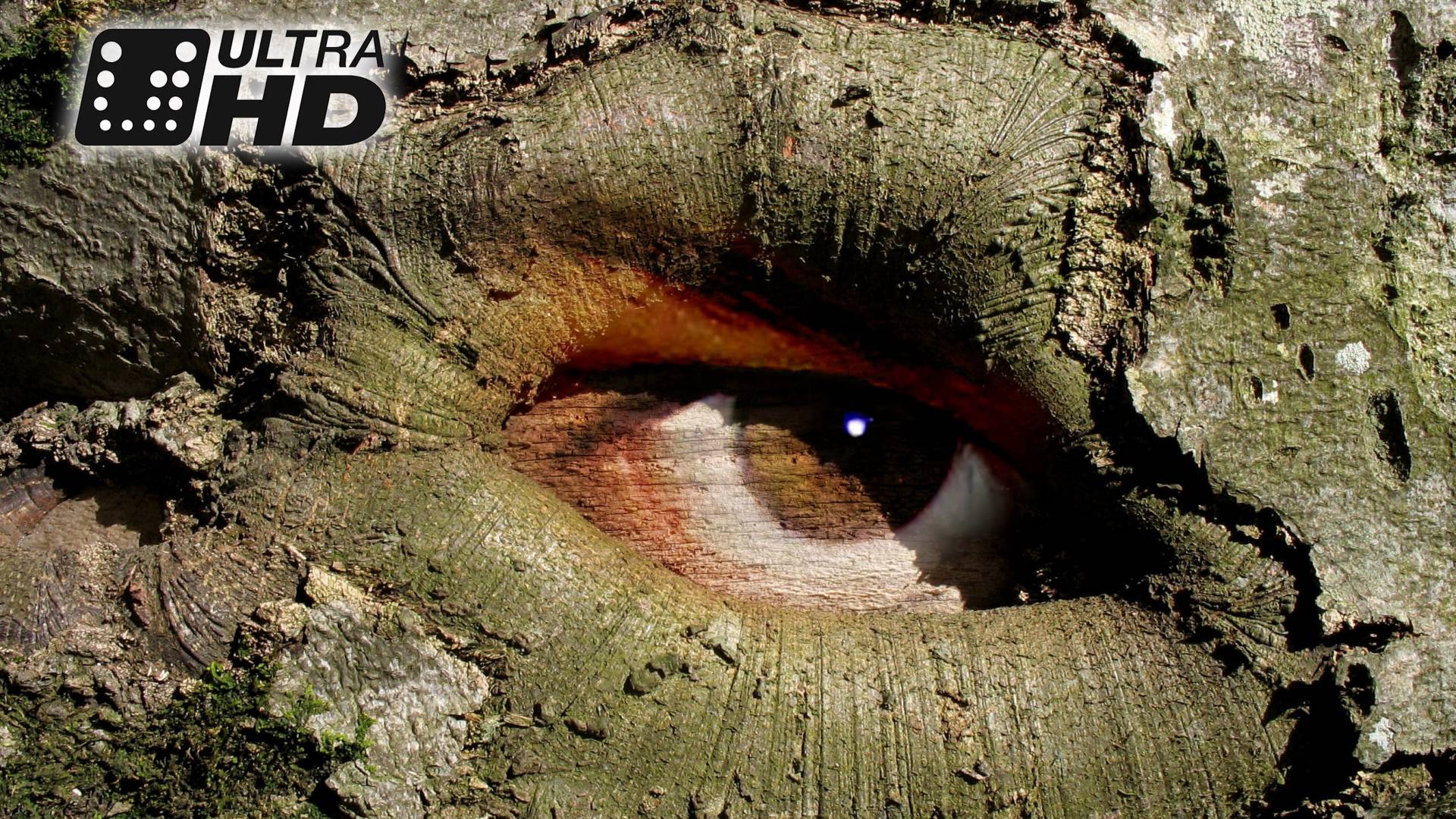 Красота природы для расслабления #nature #meditation #relax