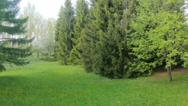 Летняя красота курорта  Ундоры. Ундоры - это здоровье от природы!