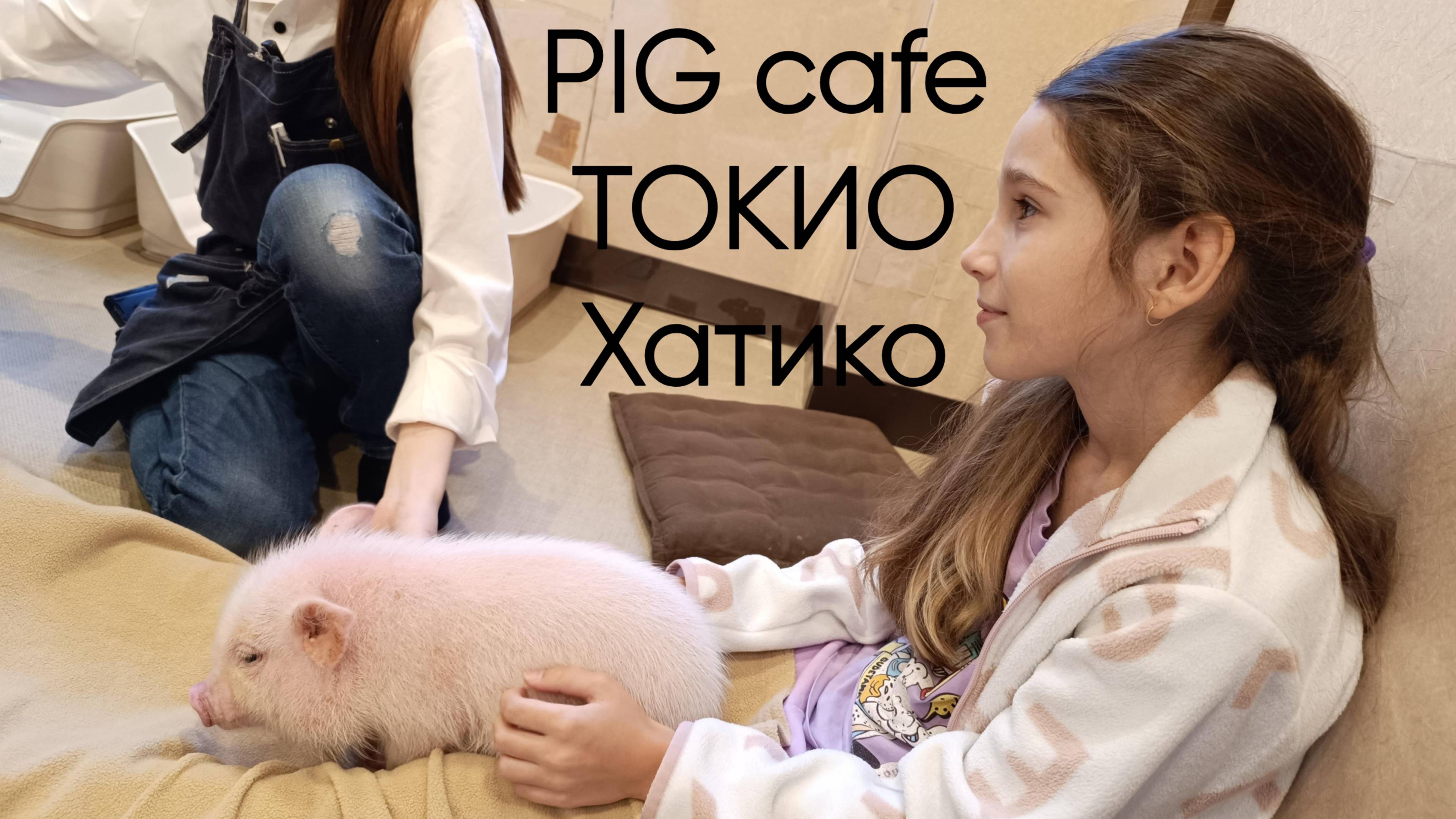 Токио Пиг кафе Беспилотный поезд Pig Cafe Самый большой перекресток в мире Сибуя Япония