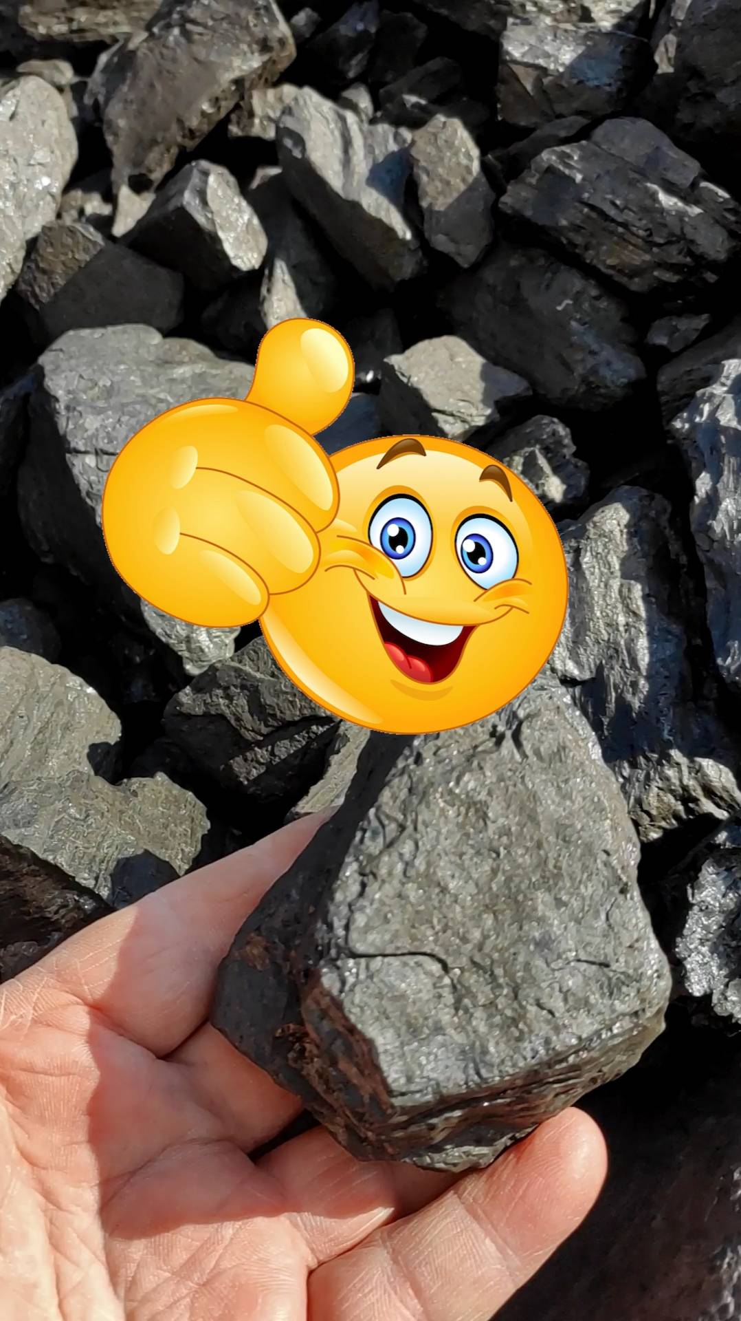 Экология? Нет не слышал. Купили тонну угля за 13000 рублей