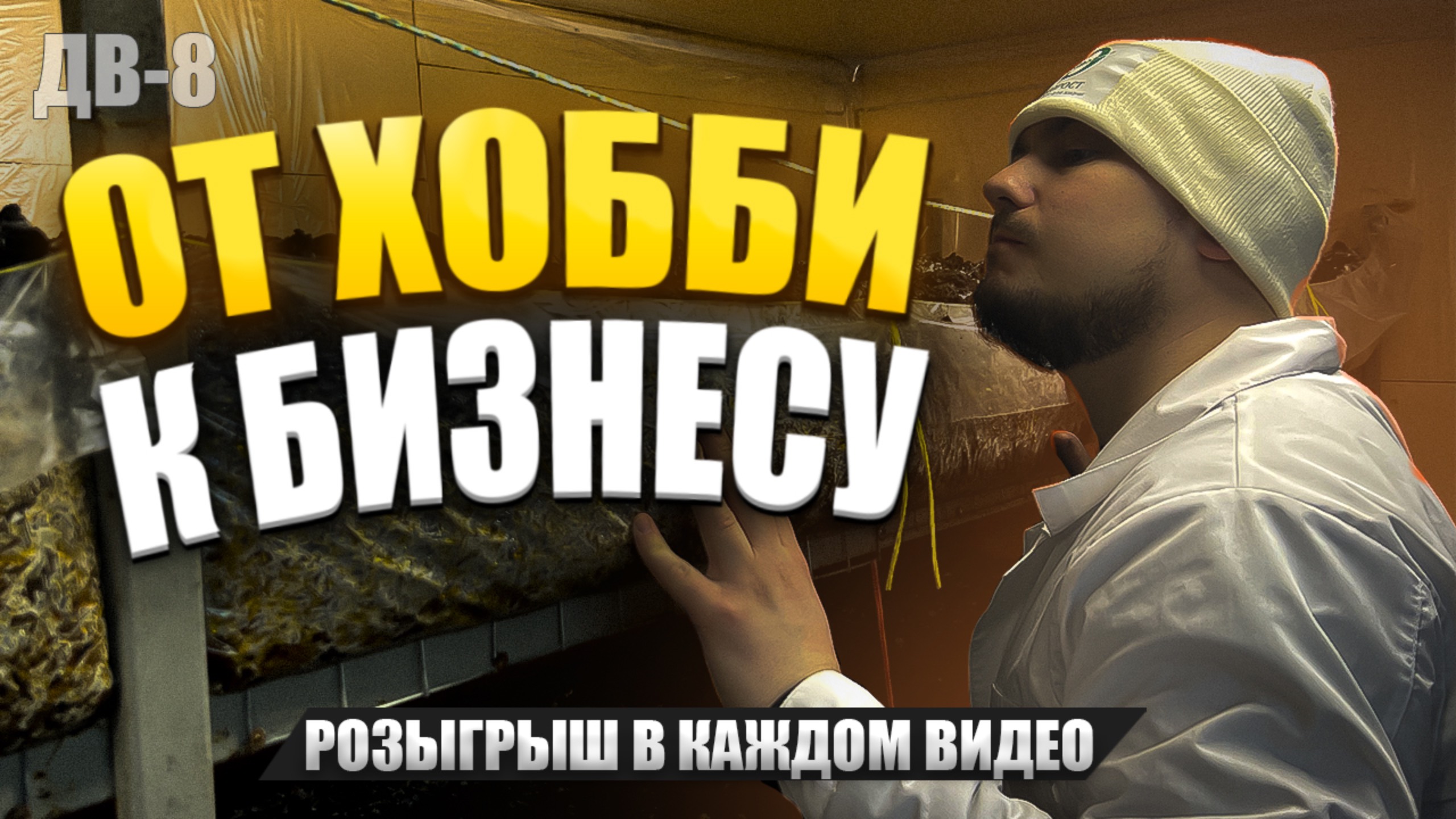 ГРИБНОЙ БИЗНЕС В БАКУ | ДВ 8