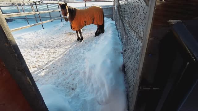 Влог. Обновочка для Мэри