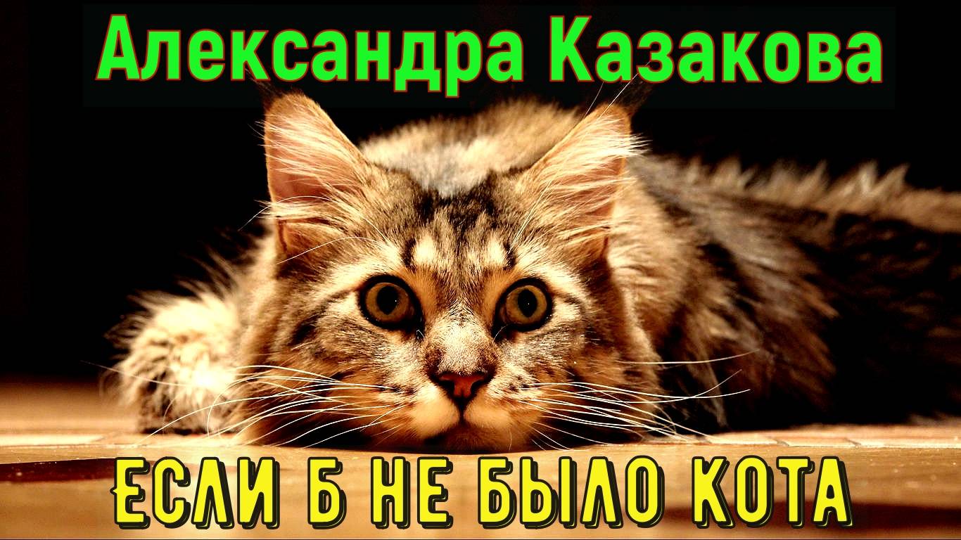 Александра Казакова Если б не было кота