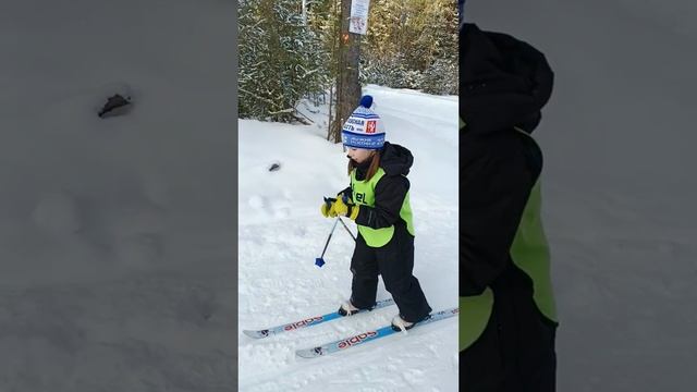 Лыжня России 🇷🇺 2025