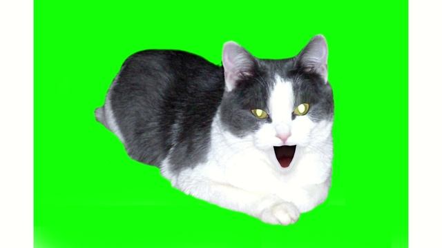 Луша(поздравление с "днюхой")