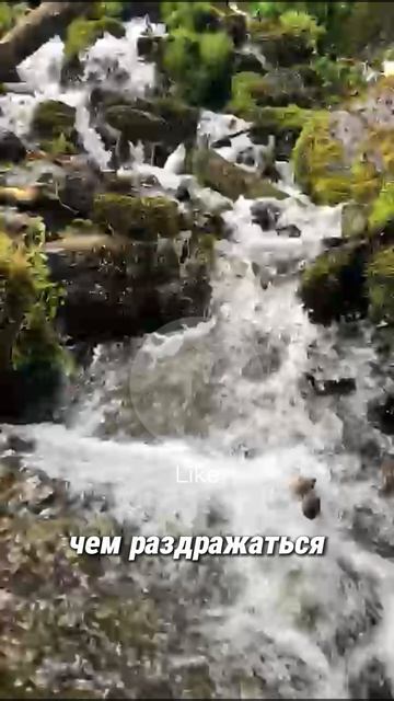 Заведите себе ИДИОТСКУЮ ПРИВЫЧКУ-Вадим Зеланд