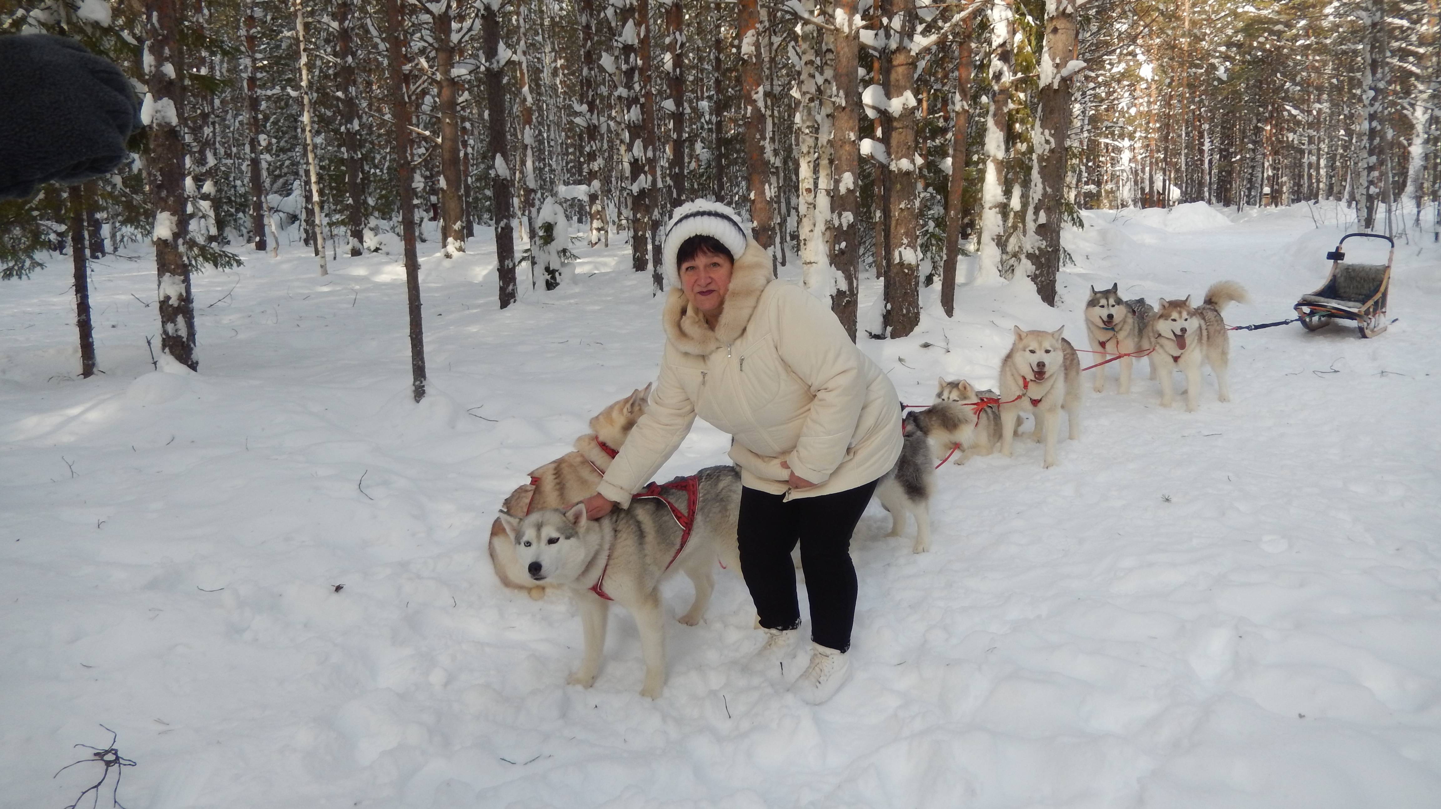 Вы просили.  Я прокатилась. Было страшно, но  здорово.  Прокатилась на Сибирских Хасках...