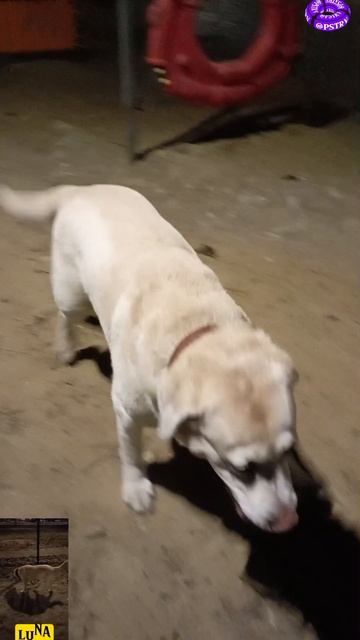 Интересная идея