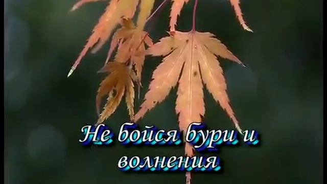 Ты не одна
