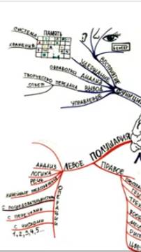 Как выучить английский новичку в кратчайшие сроки.