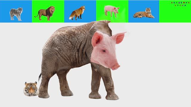 Играем и Учим Животных! Пазлы-Мультик для Малышей