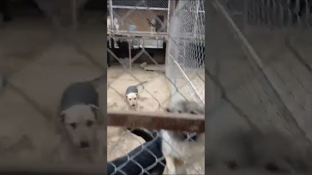 Корм нужен постоянно!