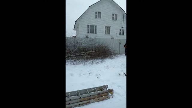 Обрезка деревьев