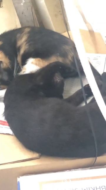 Sleeping :)