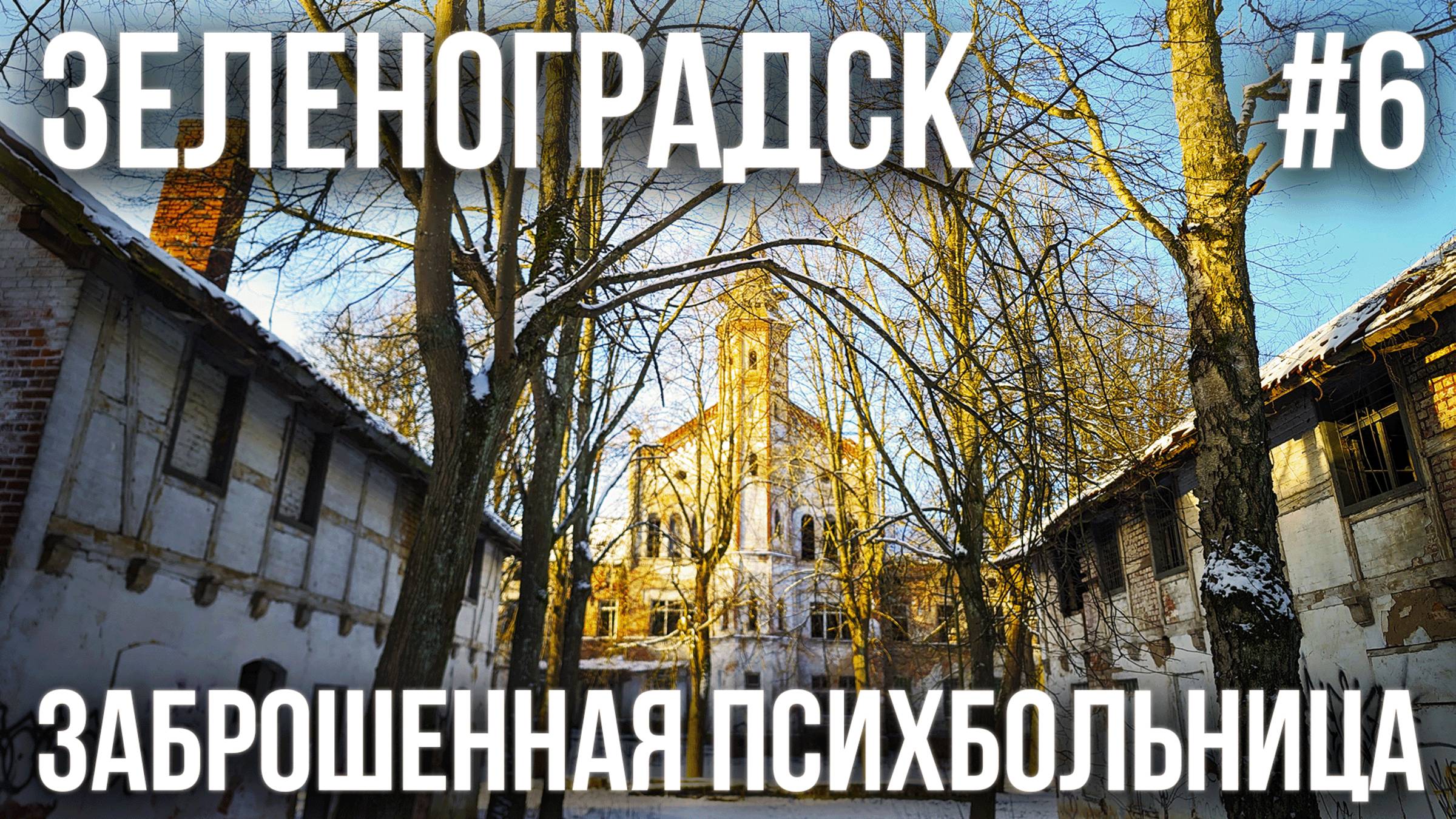 ЗЕЛЕНОГРАДСК 2025 #6. ЗАБРОШЕННАЯ ПСИХИАТРИЧЕСКАЯ БОЛЬНИЦА "АЛЛЕНБЕРГ". КАЛИНИНГРАДСКИЙ ЗООПАРК