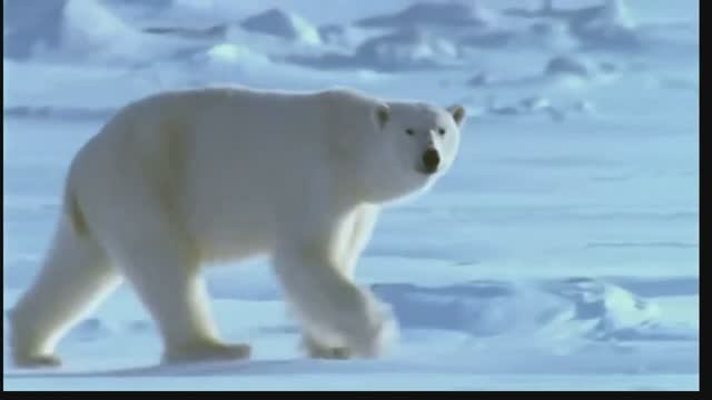 S°unduk - Мишки(fan-video)