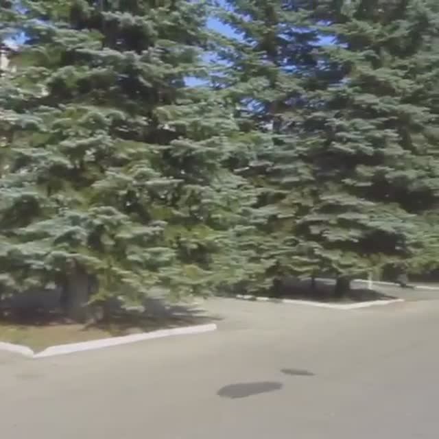 Санаторий имени В. И. Ленина и санаторий Дубки | Курорт Ундоры