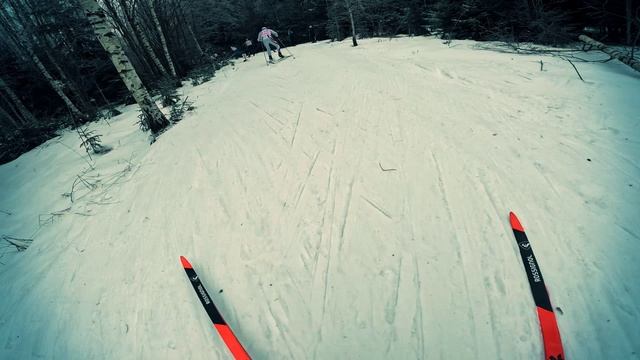 09_02_25 Марафон Александра Невского -Касарка (Ярославская область)