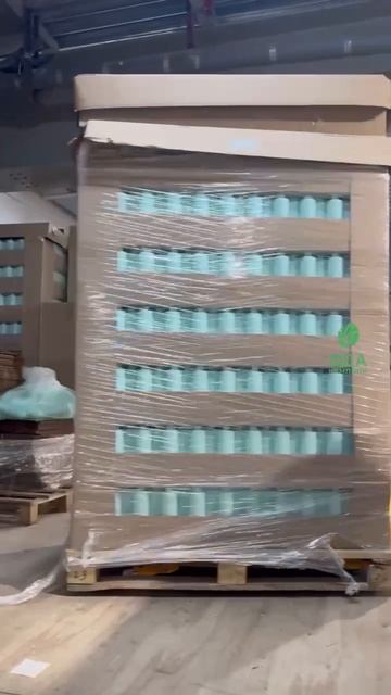 Врррумм врррруммм short shorts