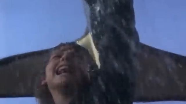 Michael Jackson - Free Willy (will you be there) video from.360p