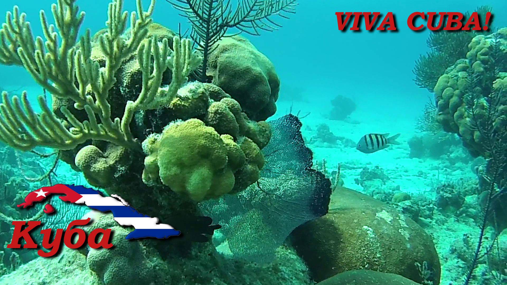 Автопутешествие с комфортом. Куба – Часть 4/12 (Плайя Хирон)