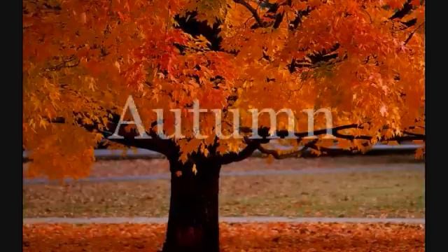 Four Seasons ~ Vivaldi.480p