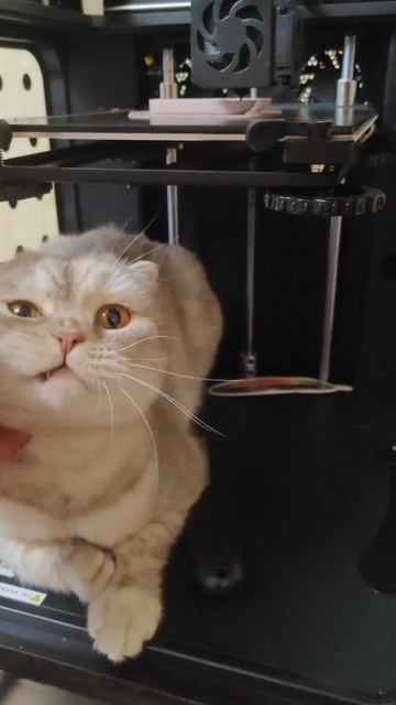 3d печать всё лучше и лучше!