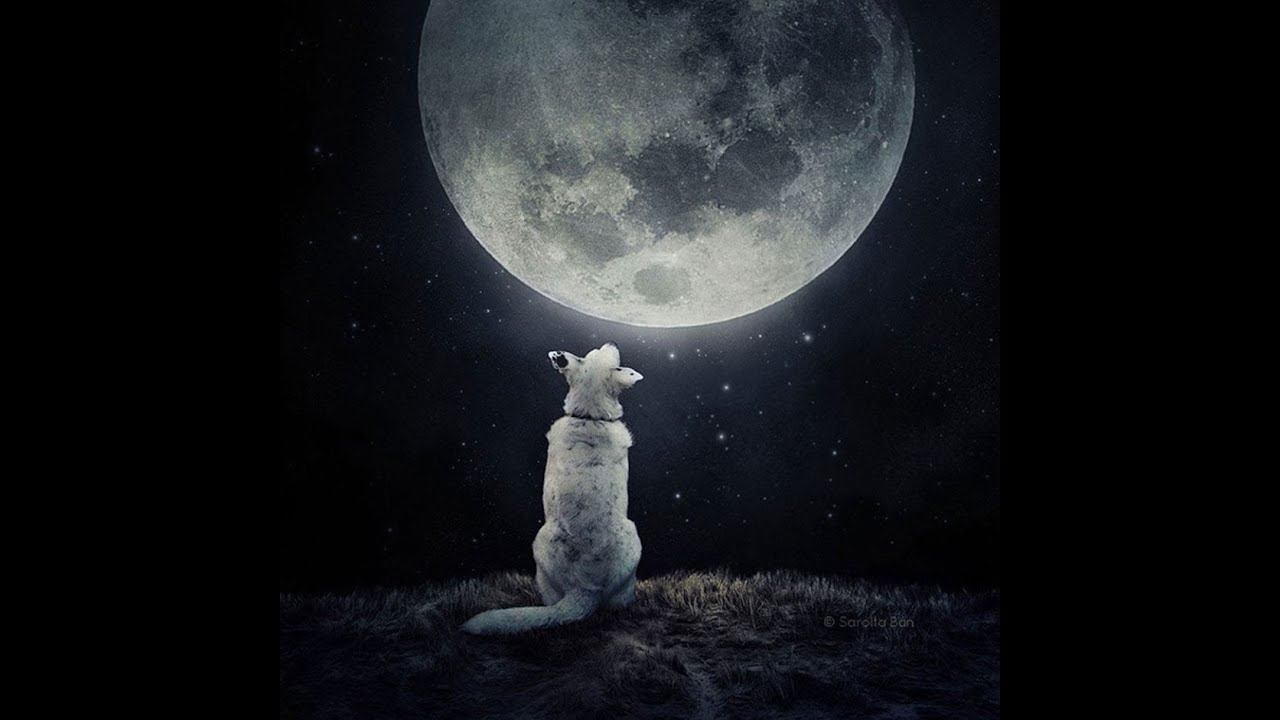 VI районный фестиваль  "Волшебный мир театра"