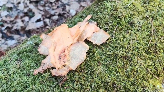 Сушеное мясо в походе