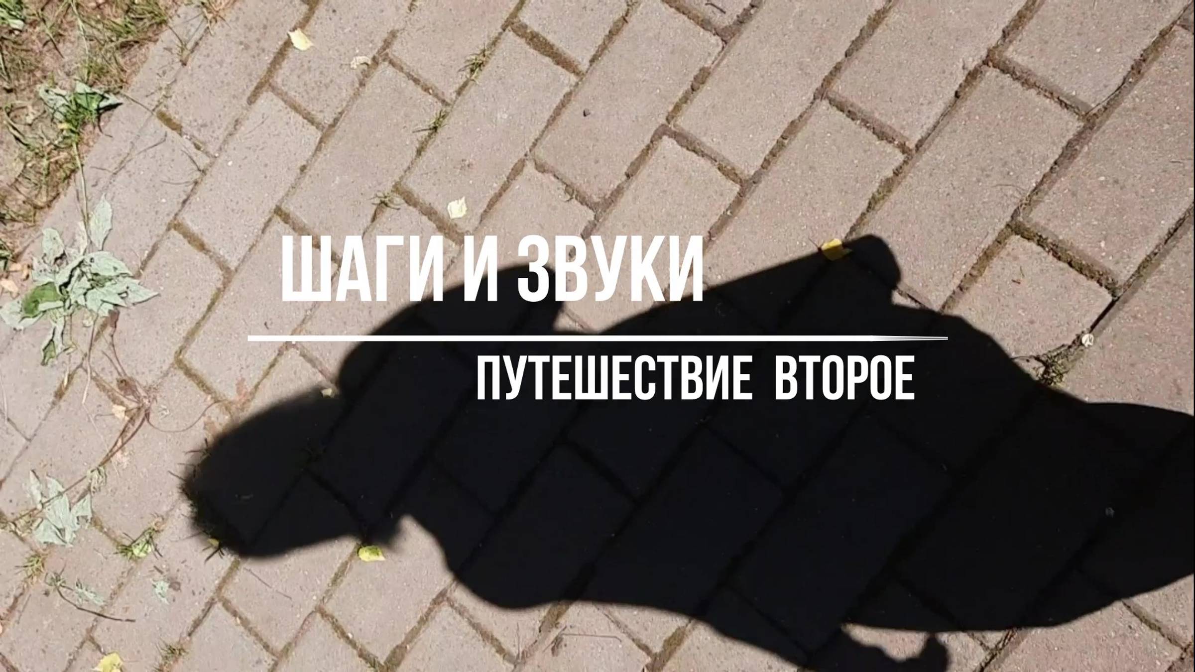 Шаги и звуки 2. Сад