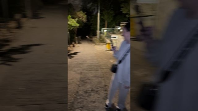 Кабаны в Гонконге по пути с пика Виктории