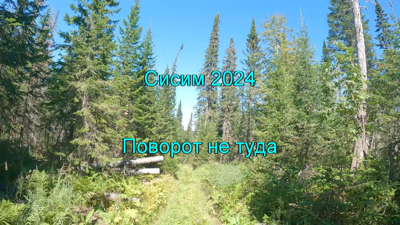 Сиси 2024. Часть 6. Поворот не туда