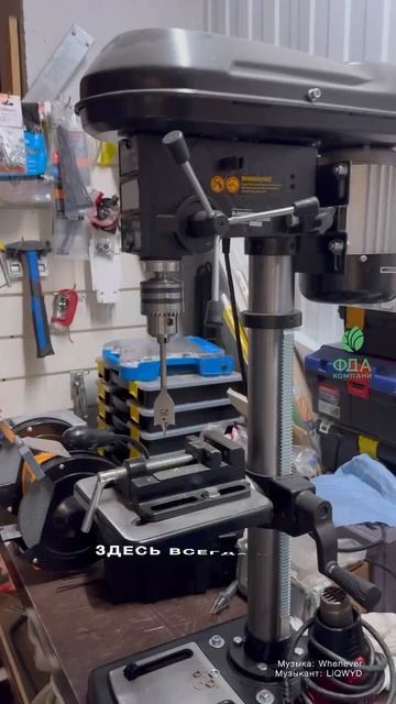 кабинет технического директора short shorts