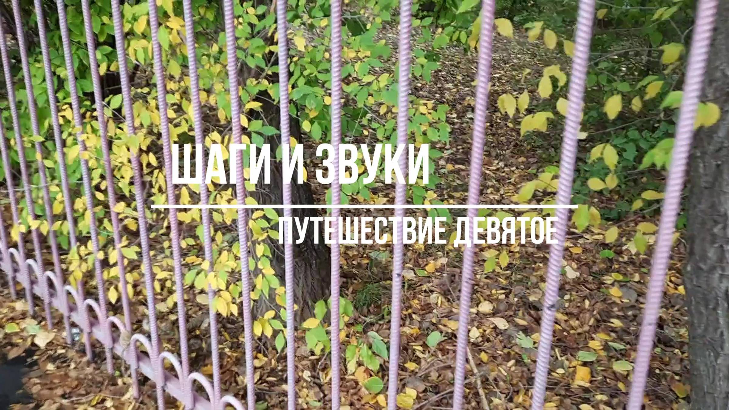 Шаги и звуки 9. Ветер тревог