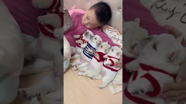 Сборник забавных и смешных видео о домашних животных – Эпизод 16