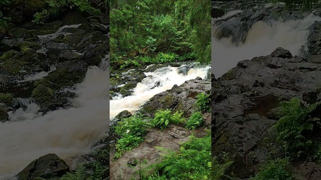 Небольшие, но бурные водопады-пороги на реке Иййоки. Экопарк Долина водопадов. Карелия, июль 2024