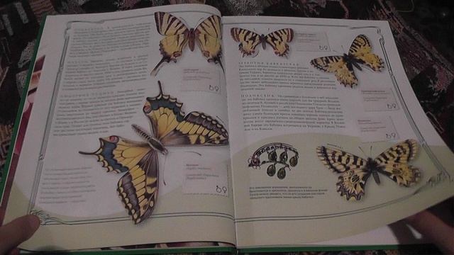"Атлас бабочек" (В.Н.Алексеев,В.Г.Бабенко,2003)